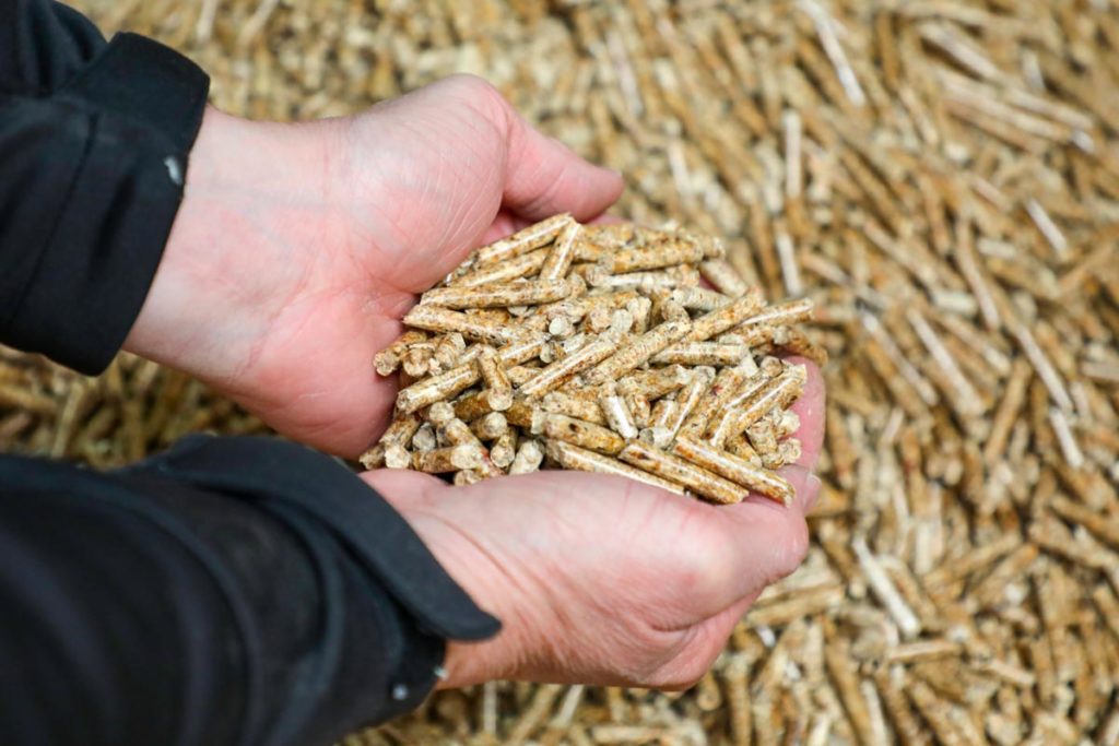 Holzpellets aus OWL – Das Holzpellet Hugo aus Paderborn